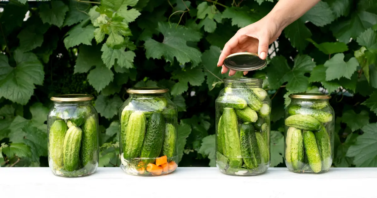 Turkish Pickles: A Tradition from Past to Present - ChefTurko